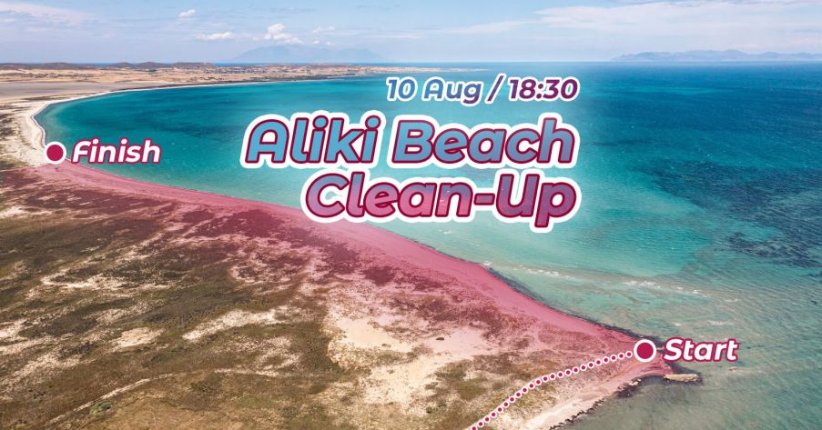 Aliki Beach Clean-Up | FlaminGokite